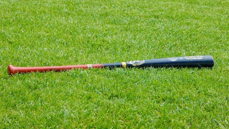 Best Baseball Bats: 17 Great Picks From 6 Top Brands
